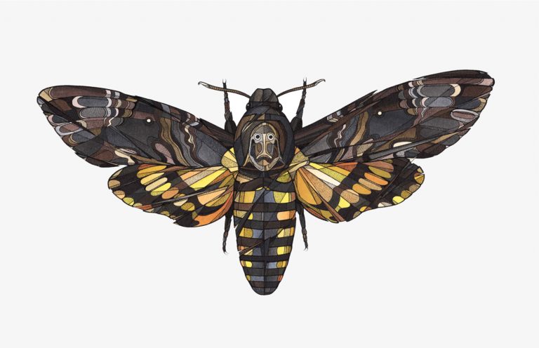 Teuthis | Le MUR Nancy